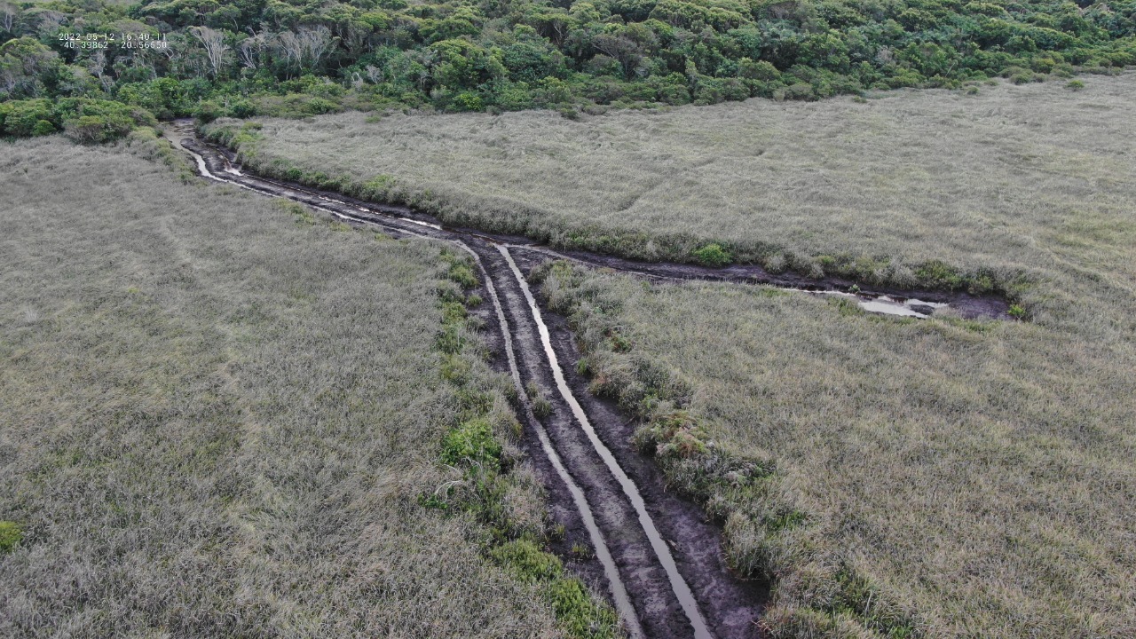 IEMA - Aceiros ajudam a evitar incêndios no Parque Estadual Paulo Cesar ...